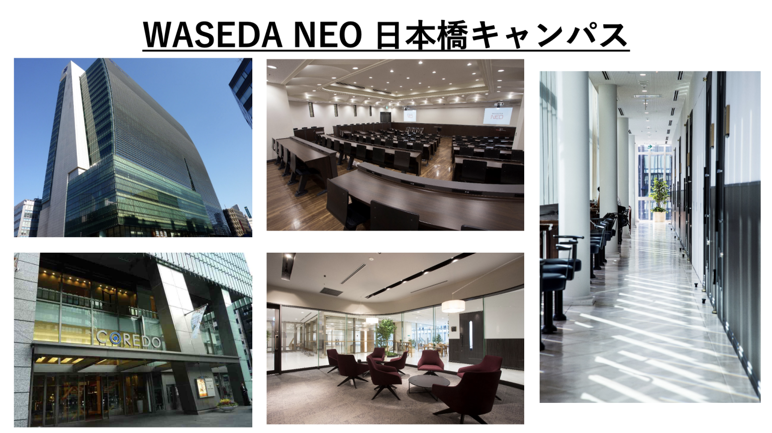 （取材）リカレント教育の先駆者・歴史ある早稲田大学の社会人向けプログラム｜WASEDA NEO | コエテコカレッジブログ